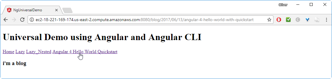 Angular Universal CLI - Step-by-Step Example with REST Client
